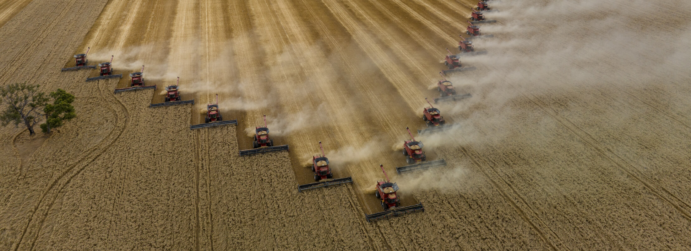 Canada’s Australian Farming Empire Continues to Grow (GlobalSWF) Global SWF